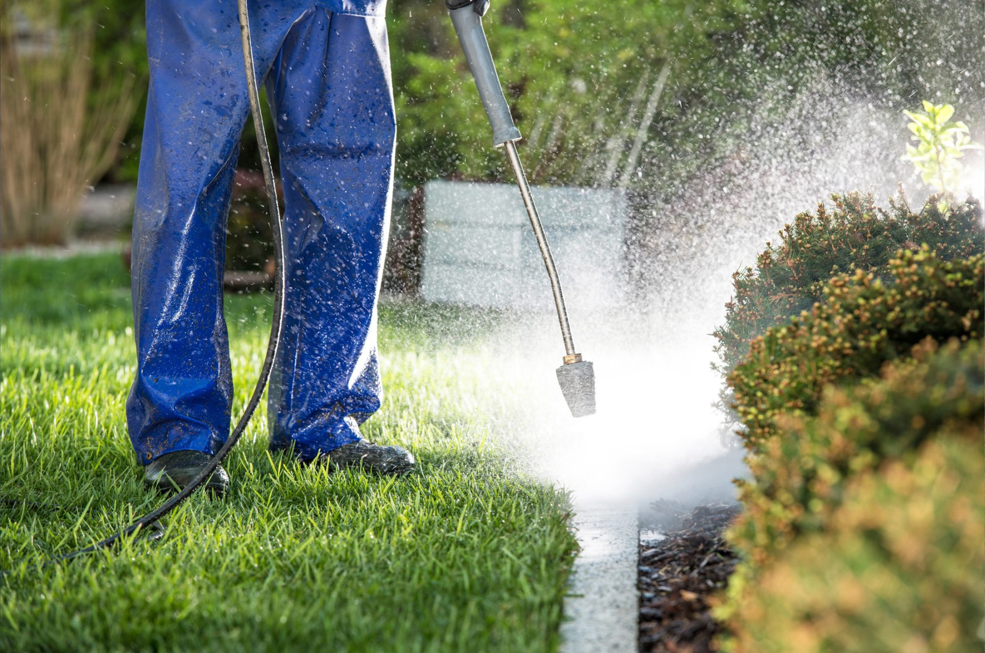 Professional Cleaner | County Down | GNT Cleaning Services